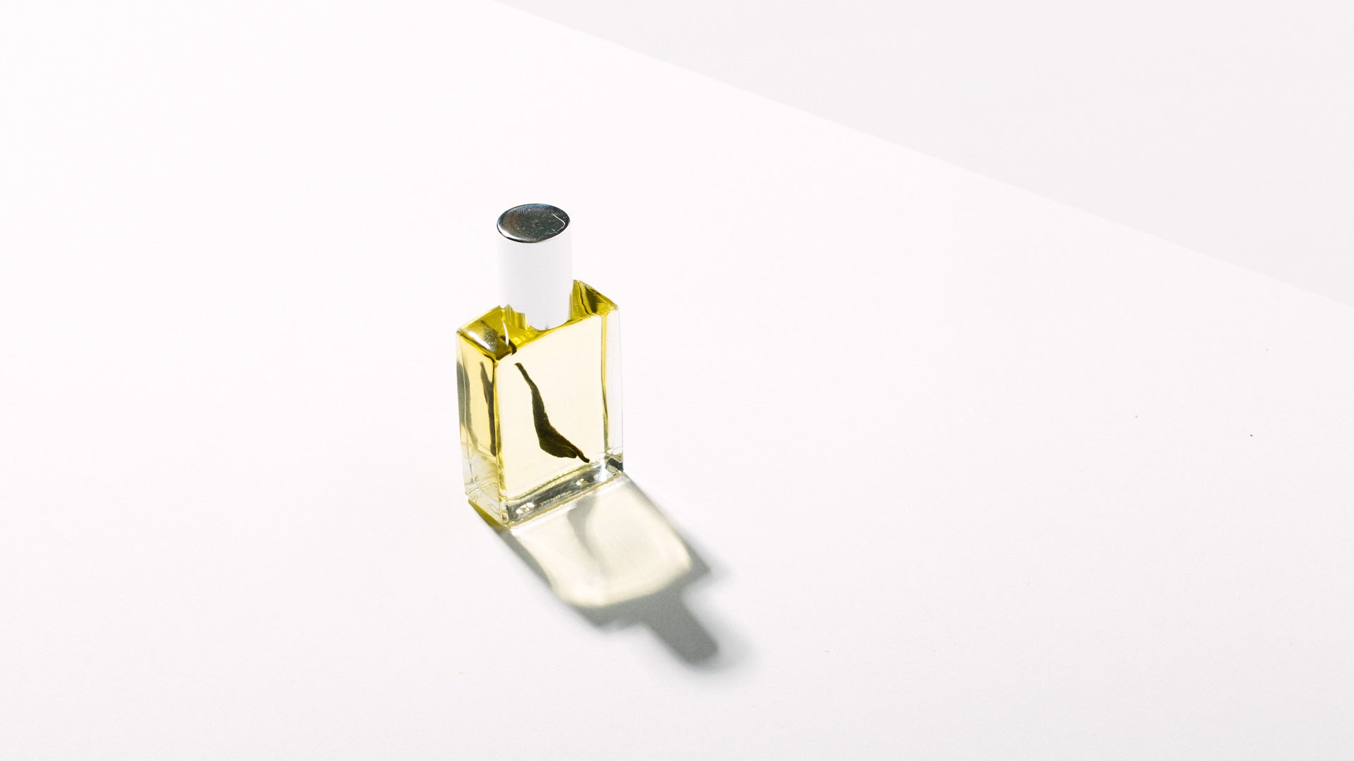 1509 Matthias Fragrance Oil Perfume – Homecoming